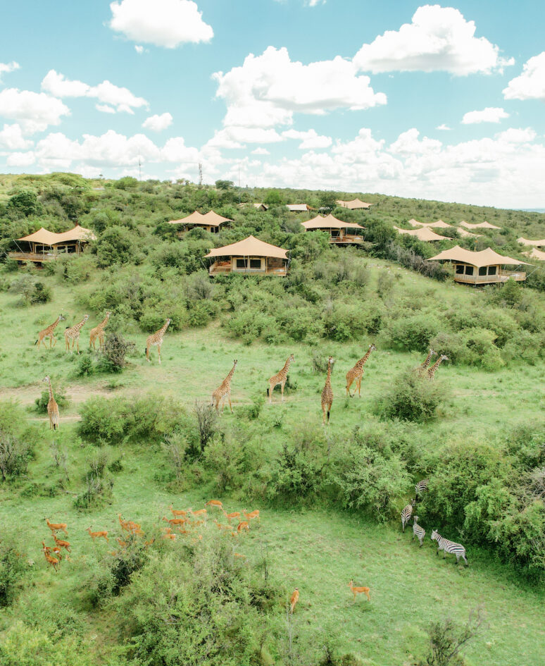 Luxury Masai Mara Safari Camp & Spa | Bushtops