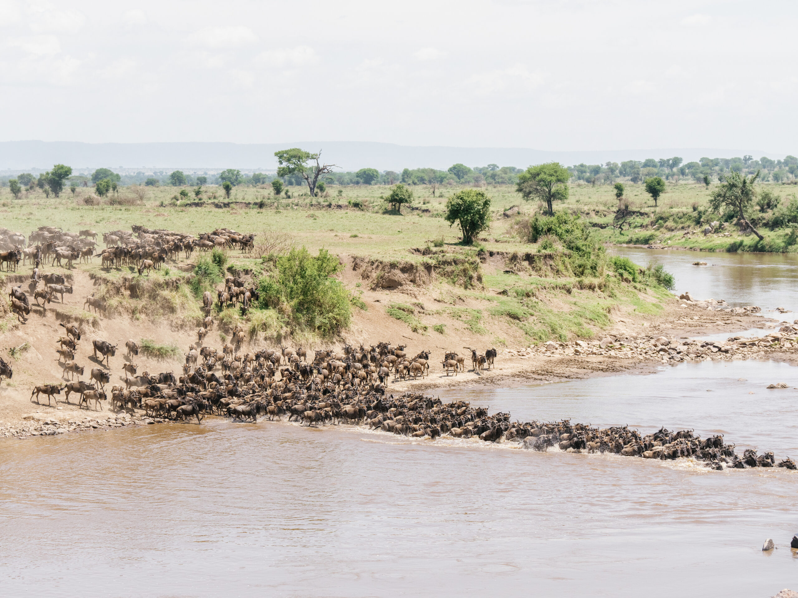 An Unforgettable African Adventure - Bushtops