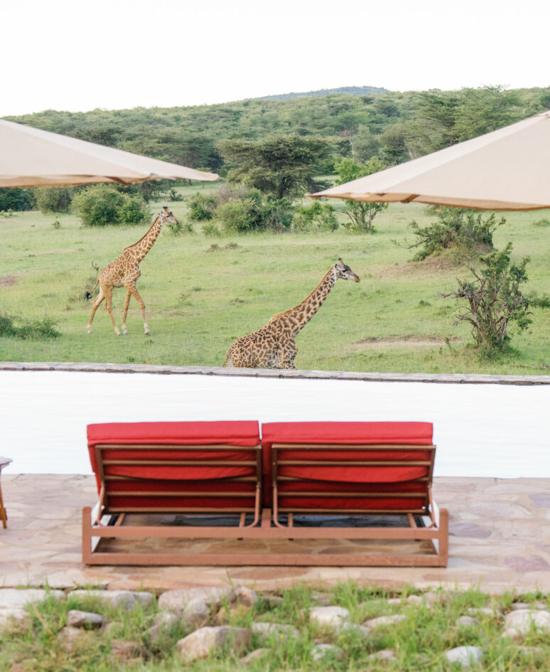 Luxury Masai Mara Safari Camp & Spa | Bushtops
