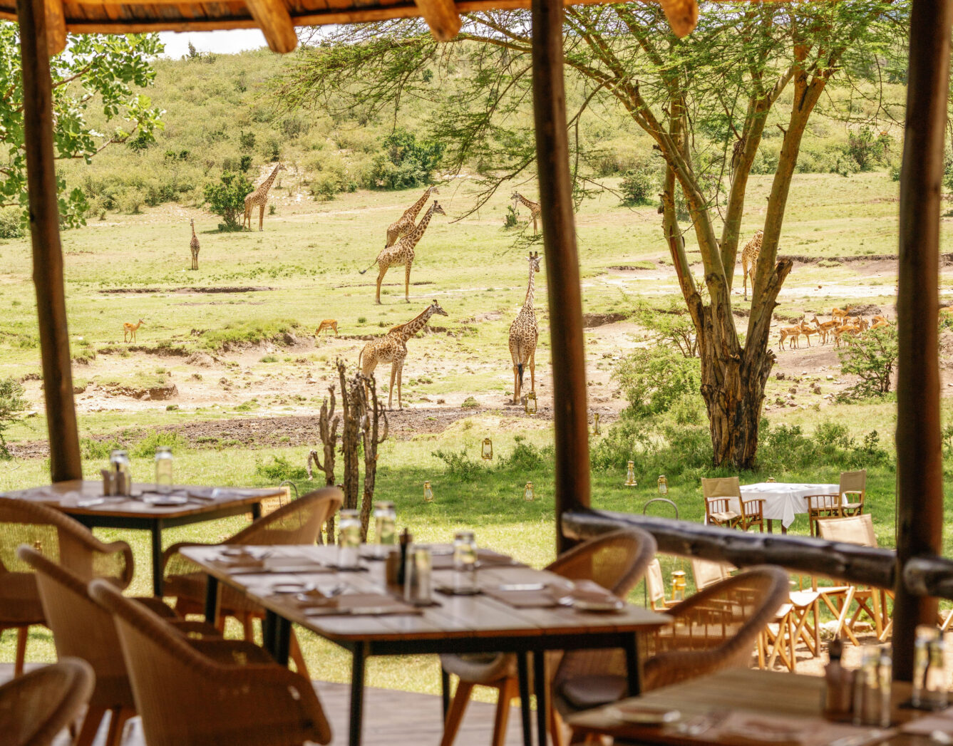 Bushtops | Luxury Safari Camps in Kenya and Tanzania