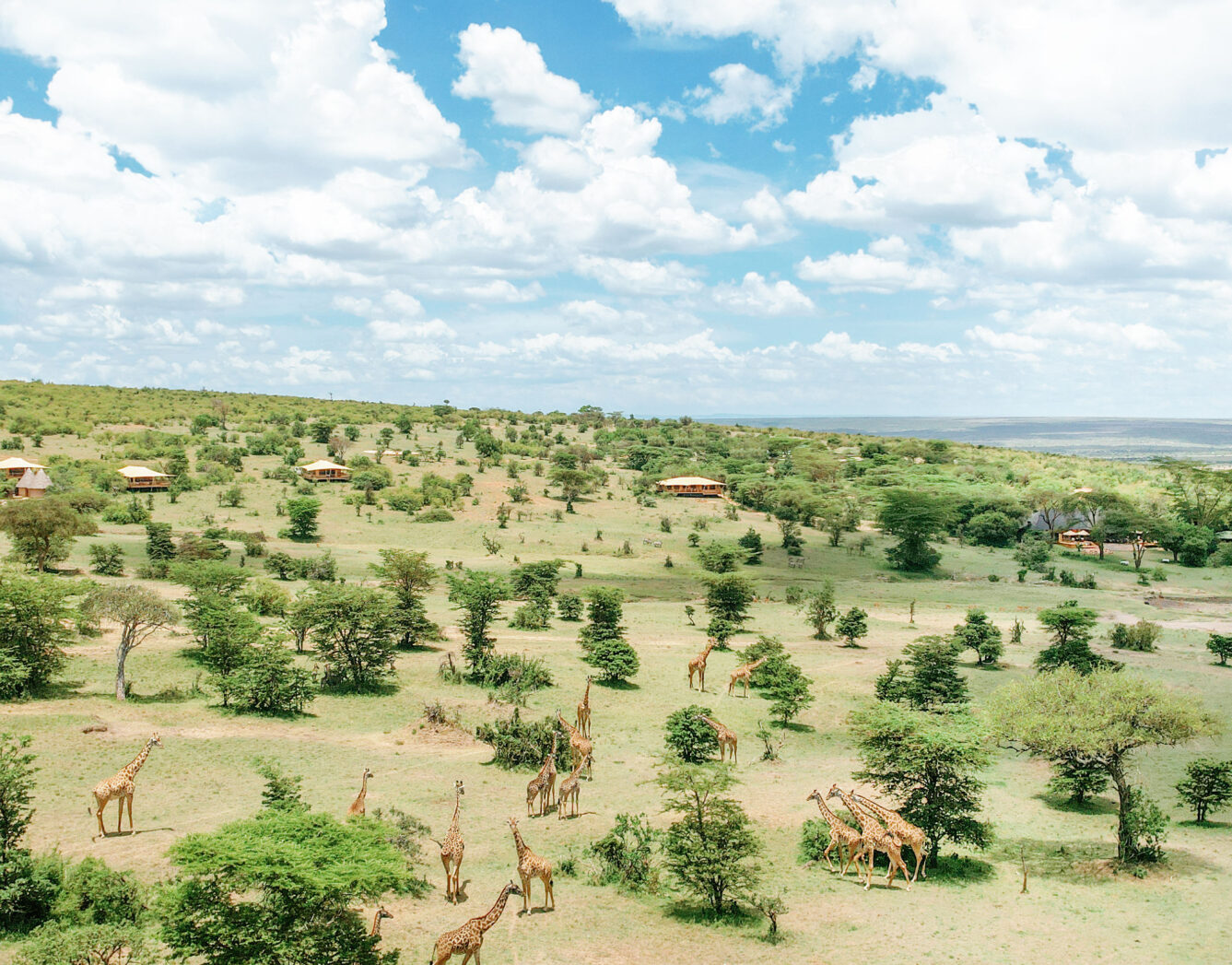 Bushtops | Luxury Safari Camps in Kenya and Tanzania