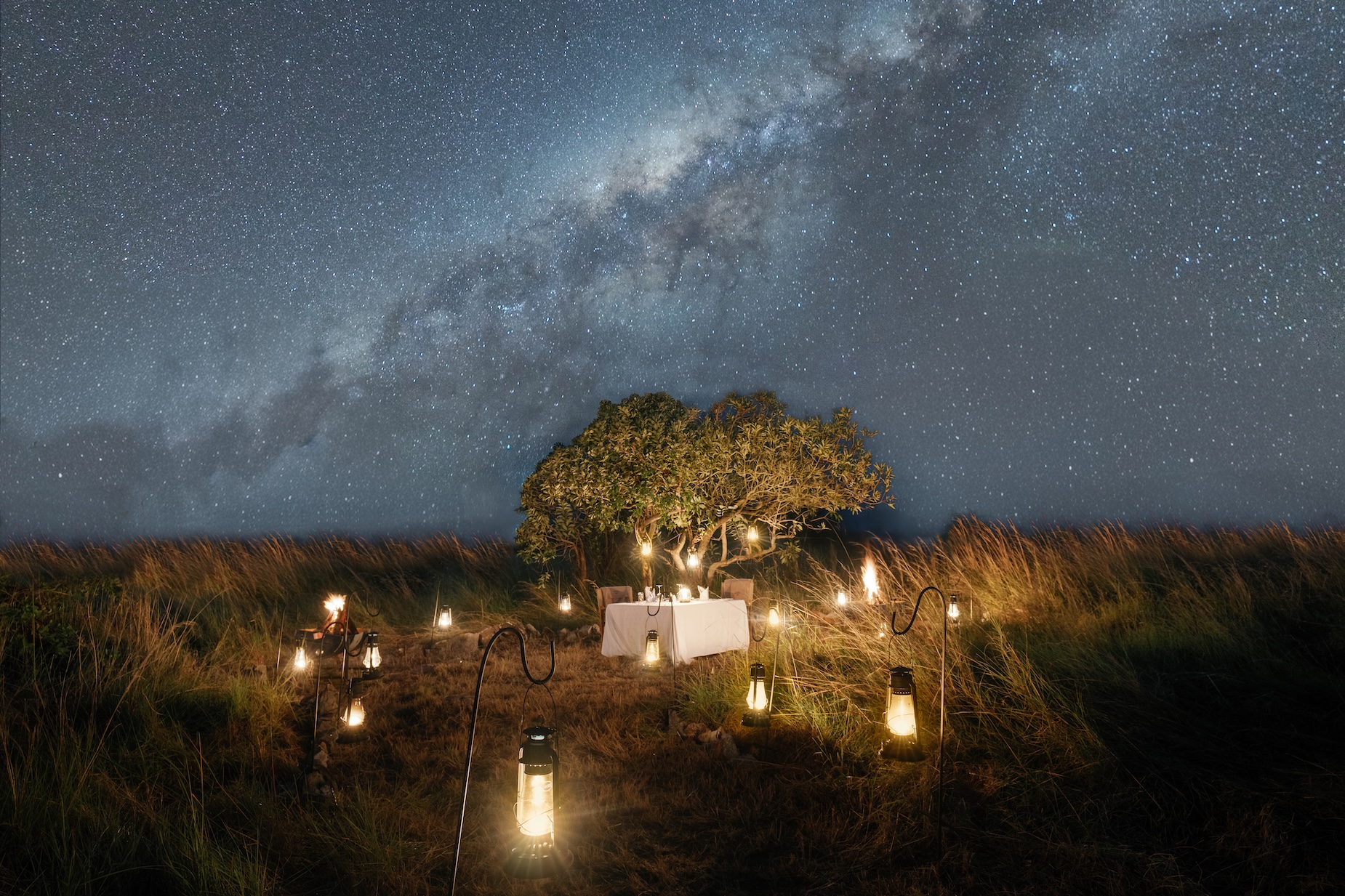Starry Night Bush Dinner - Bushtops
